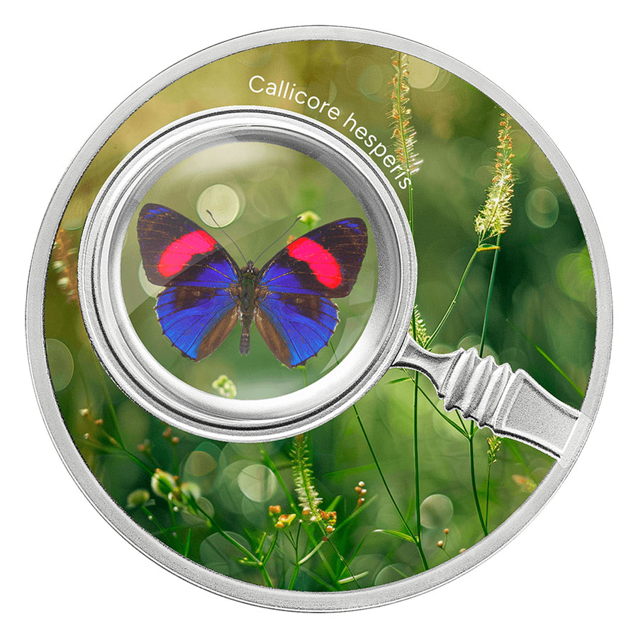 2024 Republic of Cameroon Butterflies Series - Callicore Hesperis Proof ...